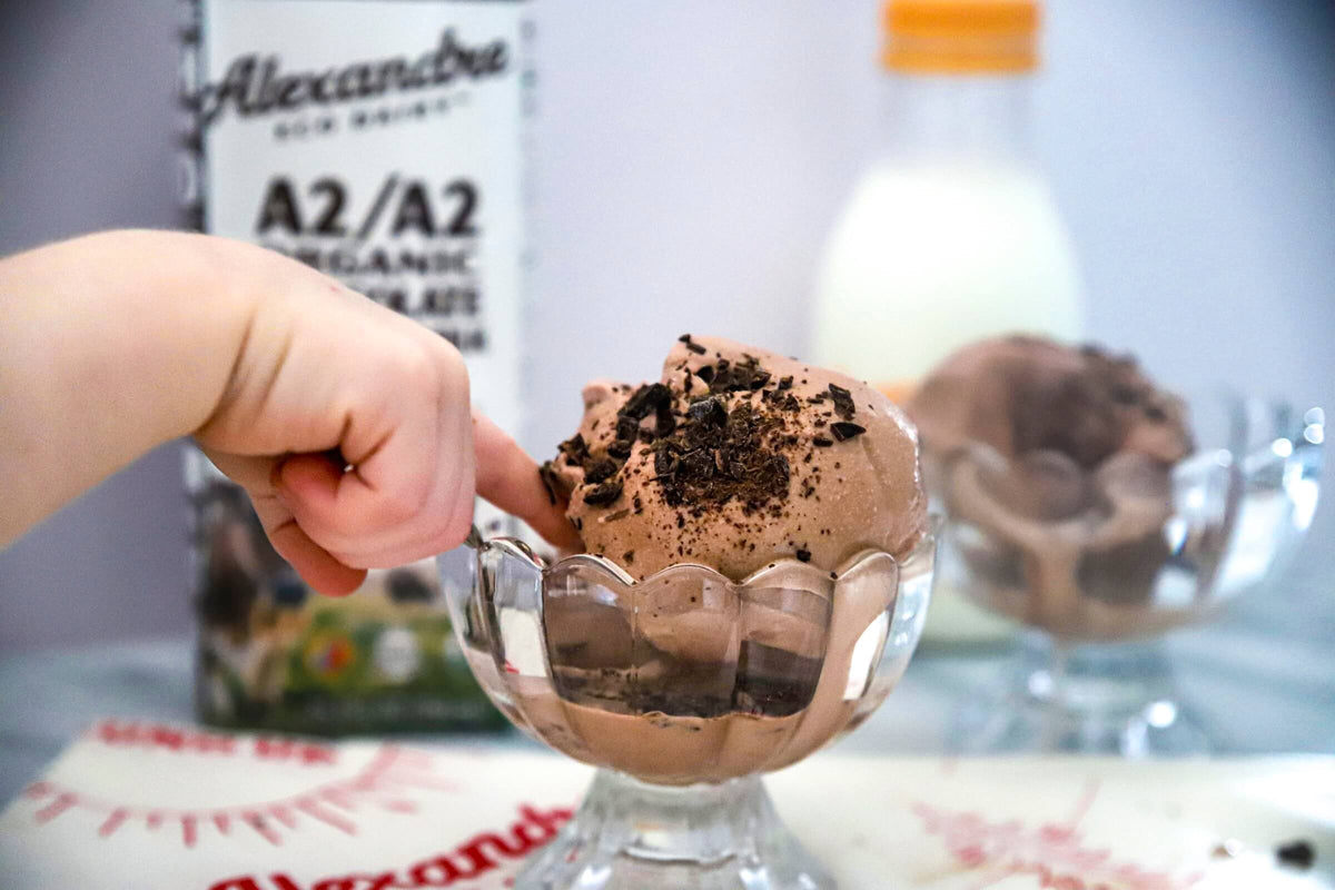 Homemade Creamy Chocolate Ice Cream – Alexandre Family Farm